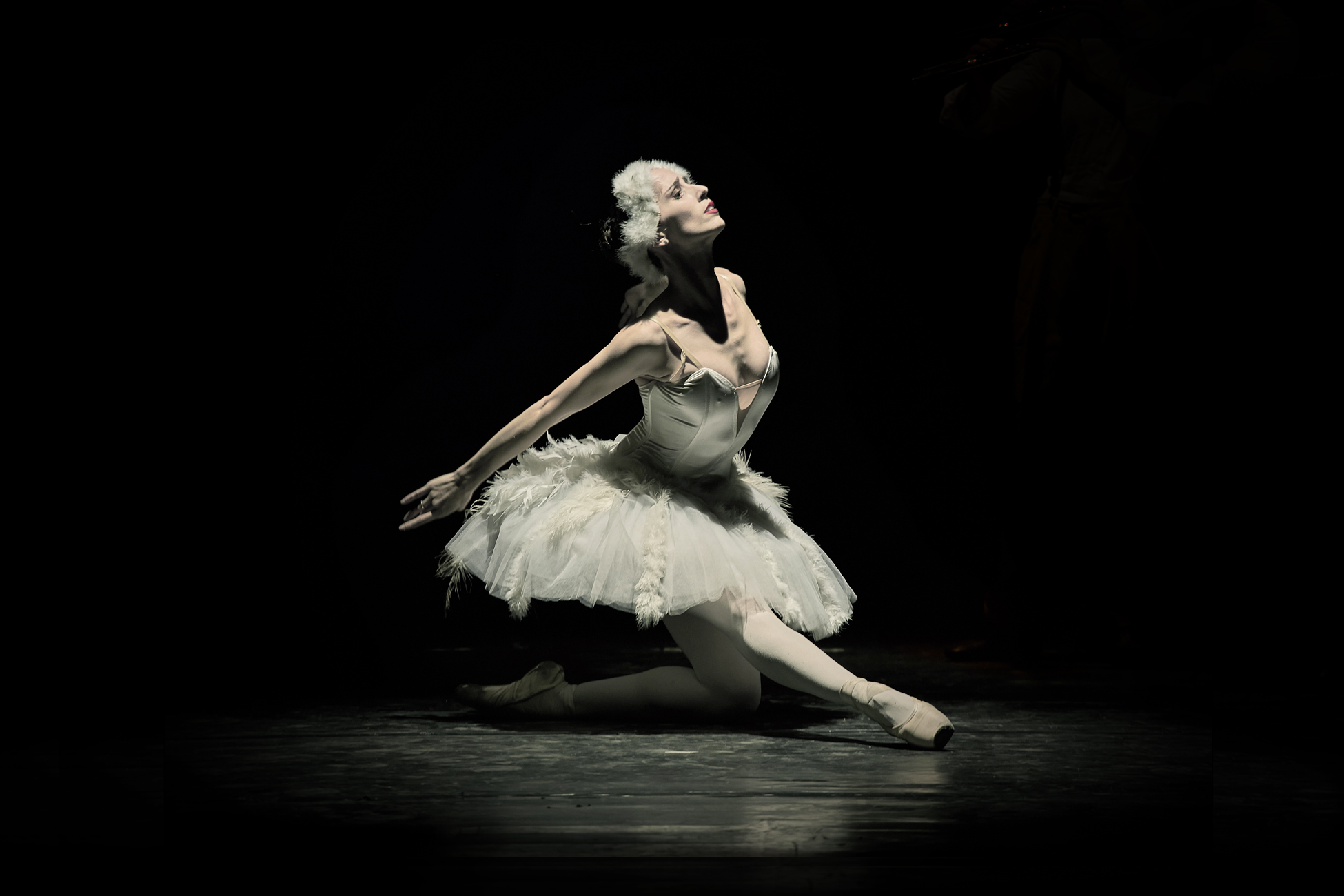 Il Cigno – ERT FVG